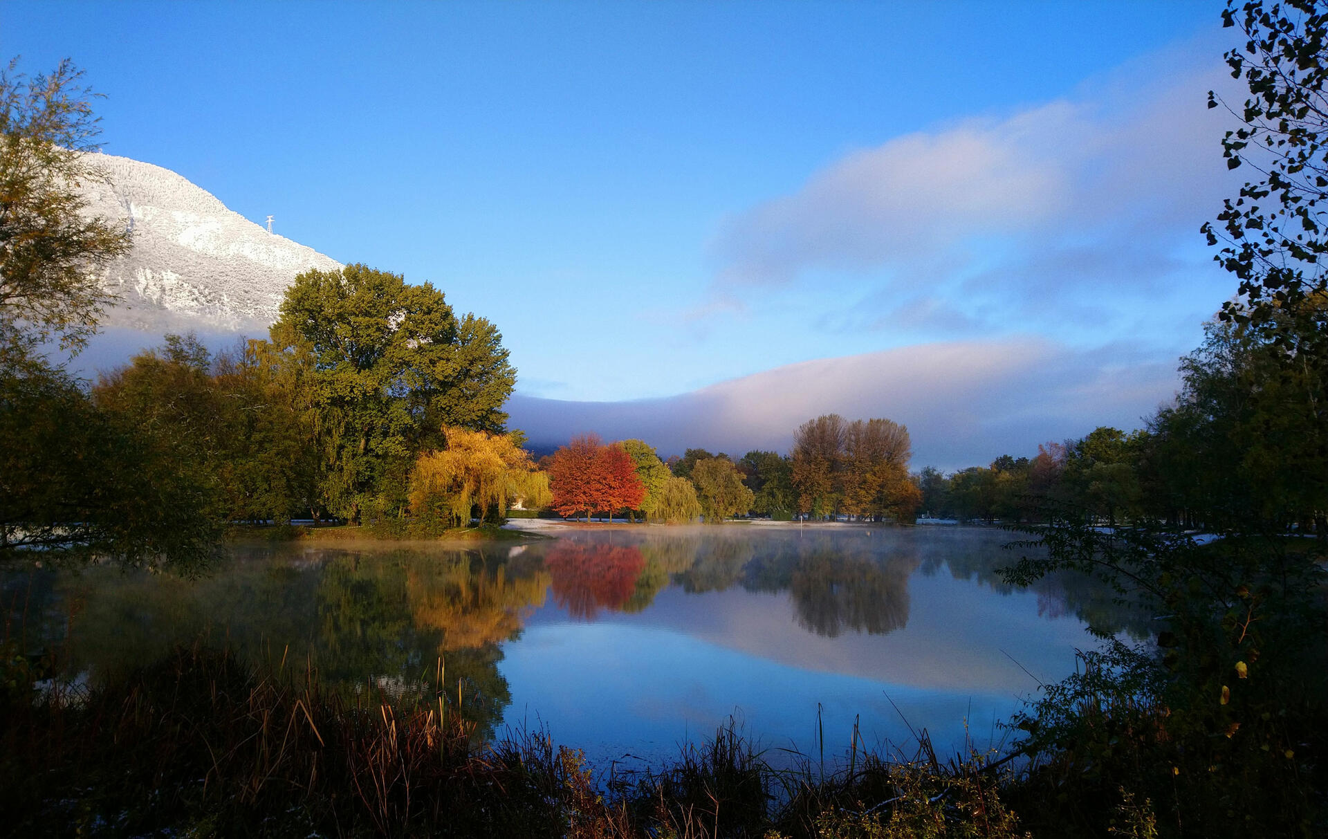Mairie de Sassenage - Sassenage